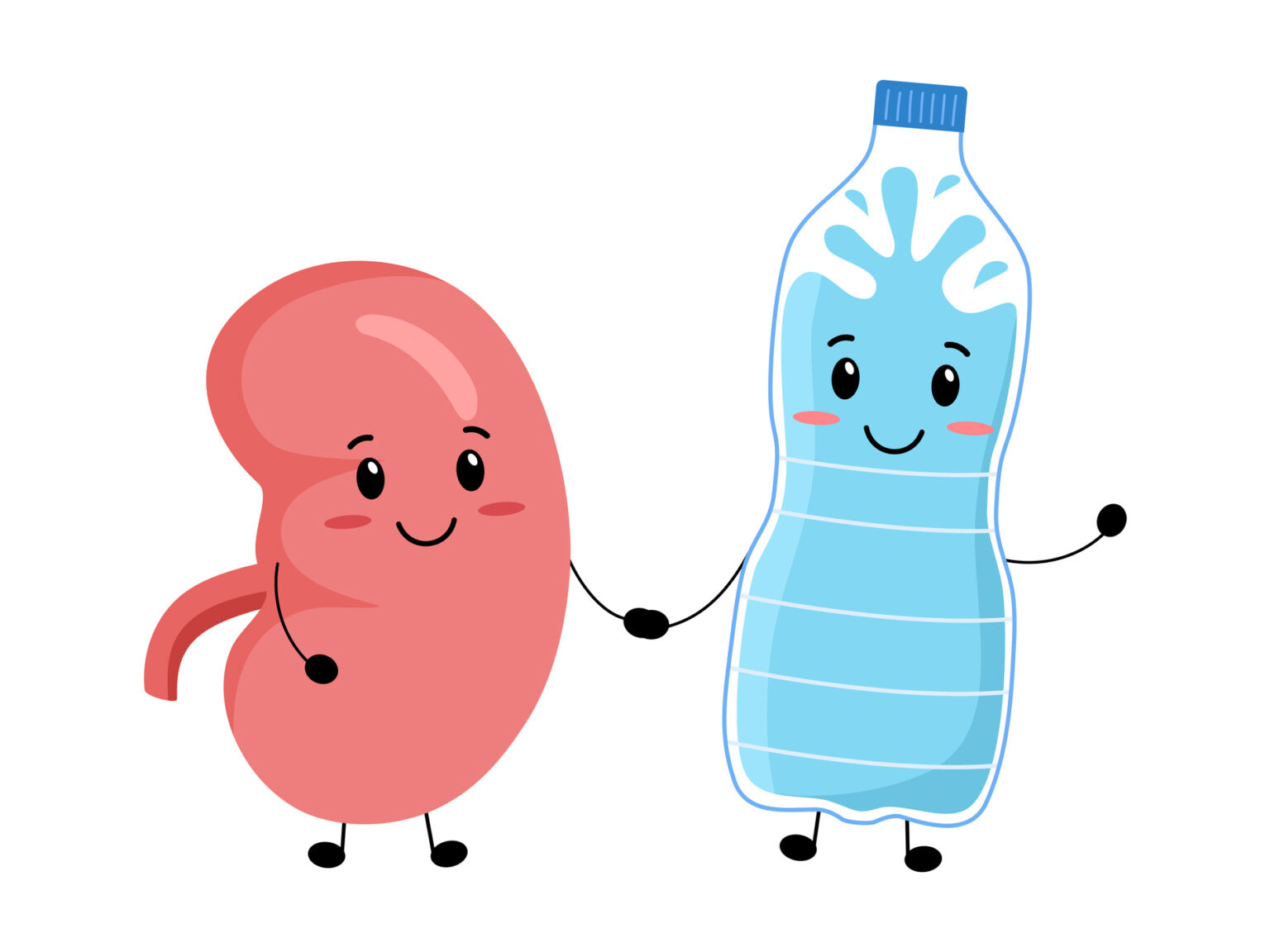 Hydration Myths and Facts – How much water do your kidneys need? - KSOSN